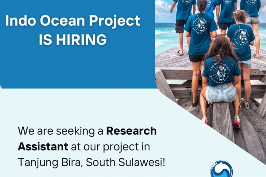 [Deadline Regist 15 July 2024] Program Coordinator & Research Assistant - Solusi Riset